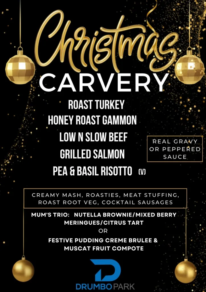 Christmas at Drumbo 25 - Drumbo Park